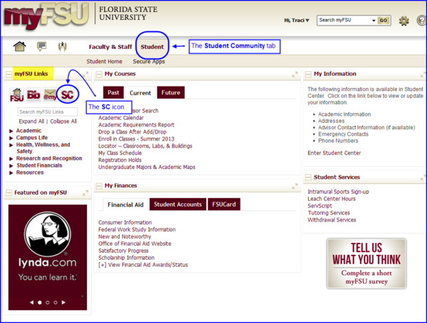 Assign Delegated Access to a Third Party | myFSU Student Central